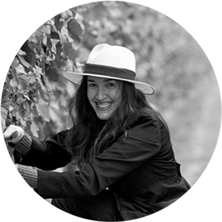 Team - Destination Decoded